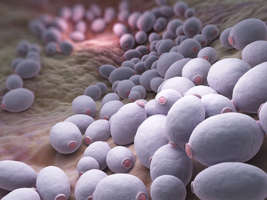 What is Candida Overgrowth?Learn How to Fix it Naturally